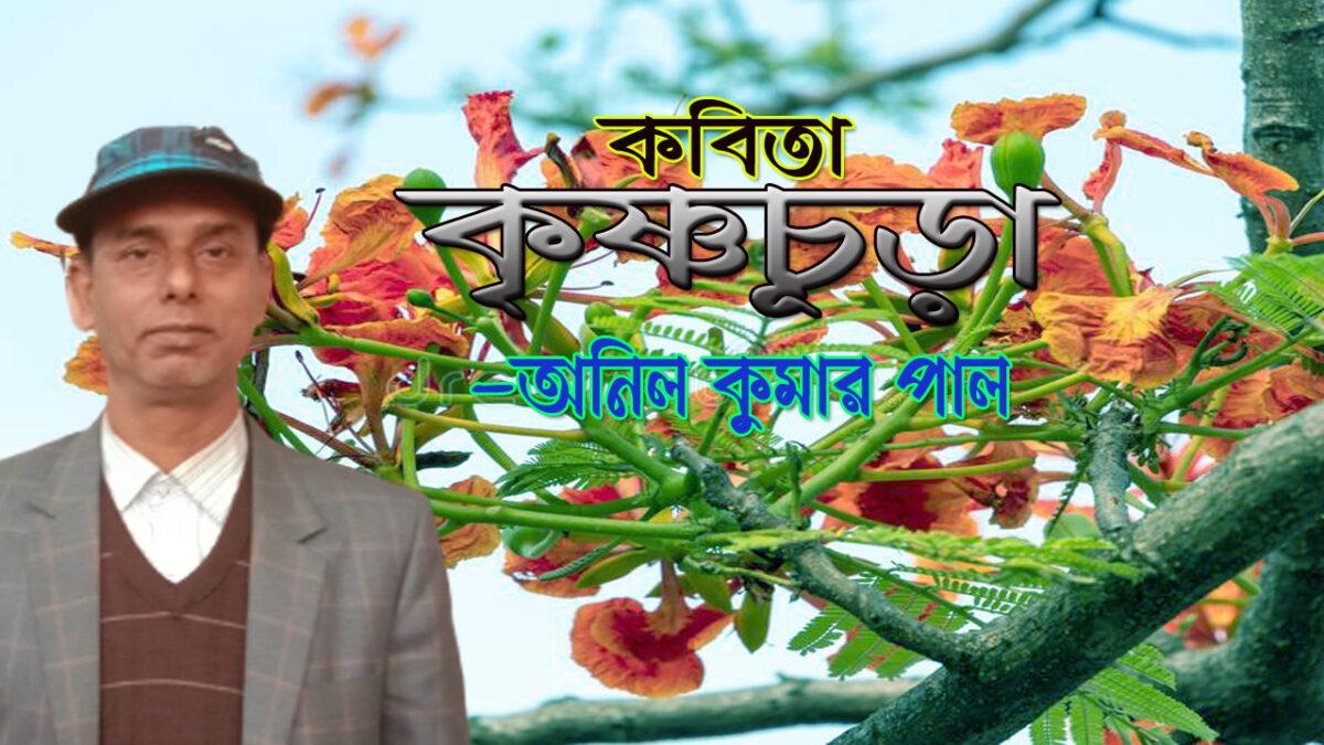 কৃষ্ণচূড়া -অনিল কুমার পাল | কবিতার পাতা
